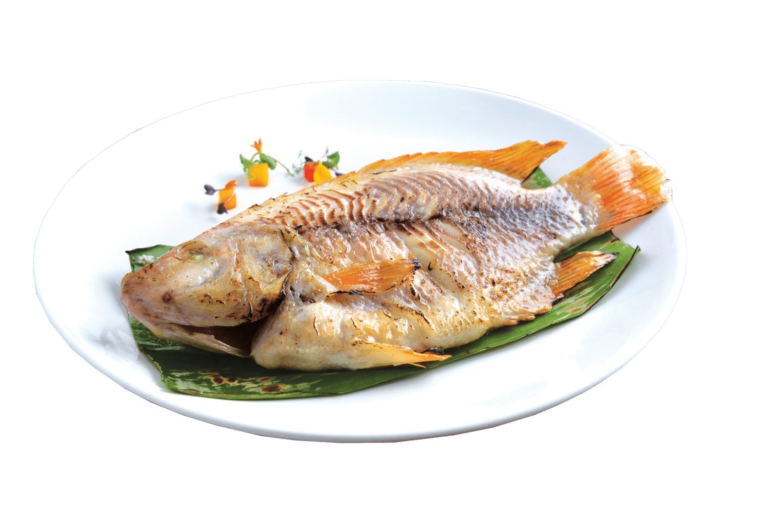 Dempsey Menu | Long Beach Seafood